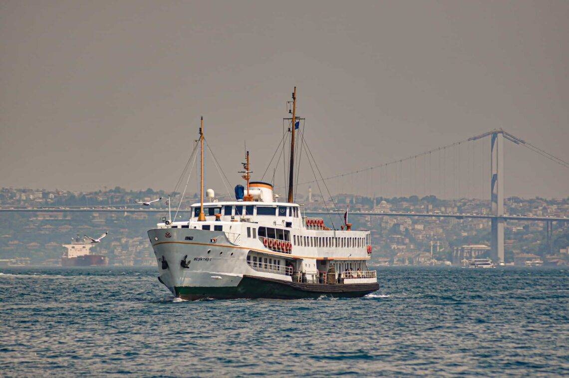 Bosphorus Cruise - Exploring Istanbul's Waters - The Other Tour