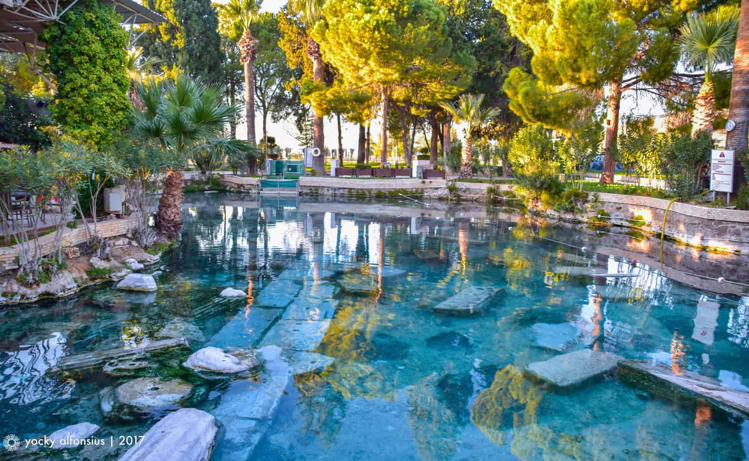 Cleopatra’s Pool - Swim Among Ancient Ruins in Pamukkale - The Other Tour
