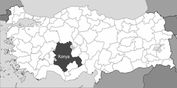 Konya - The Timeless City of Sufism and Seljuk Heritage - The Other Tour